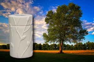 What will the cemeteries of the future look like?