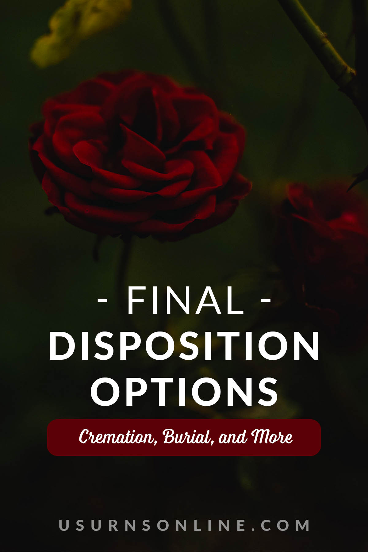 Final Disposition Options: Cremation, Burial, and More – US Urns Online