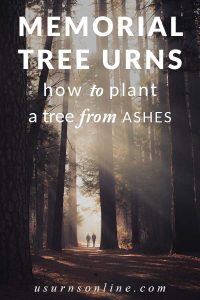 How to Become a Cremation Tree When You Die – US Urns Online