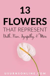 13 Flowers That Mean Death & What They Symbolize – US Urns Online